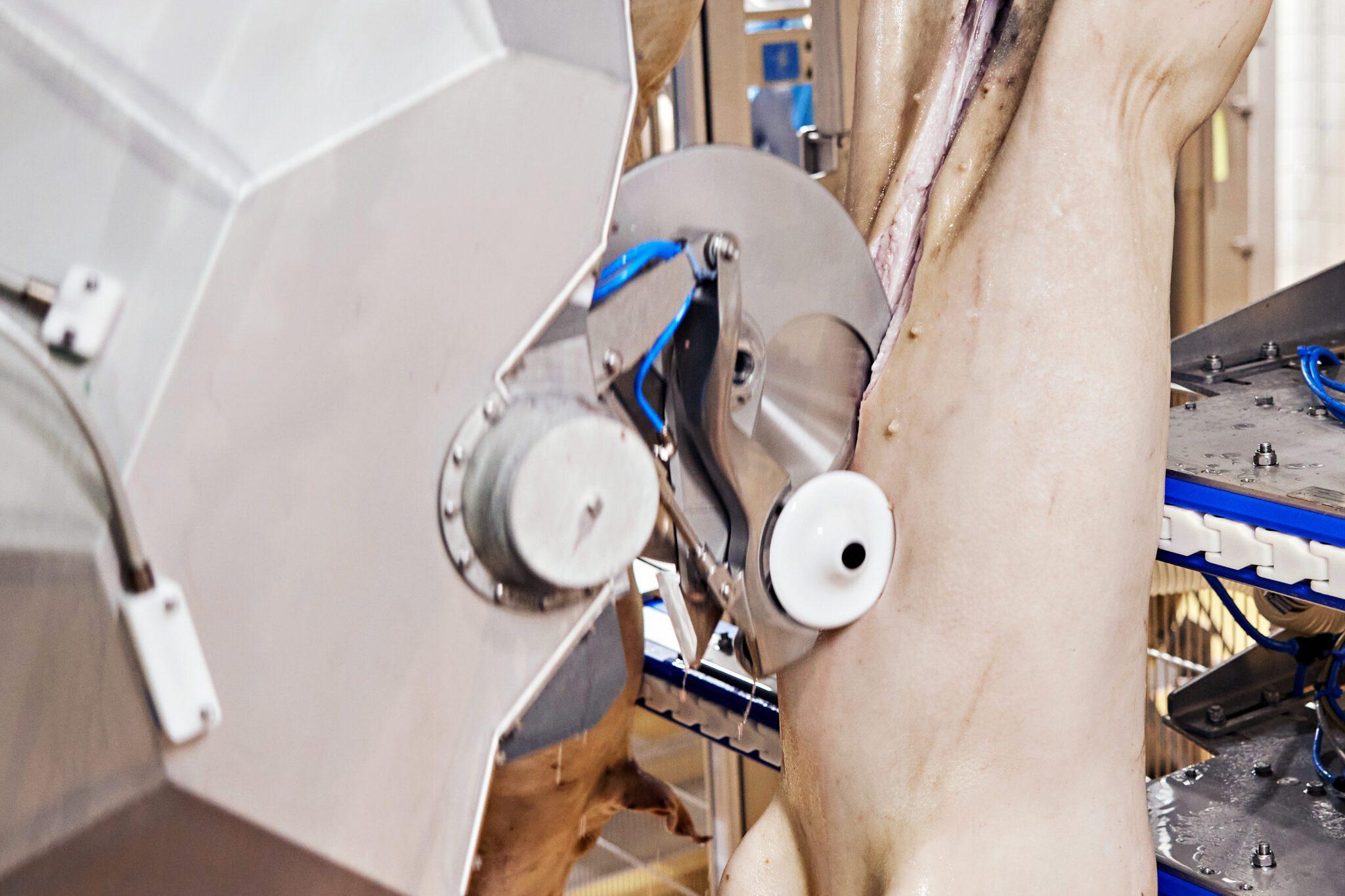 DanePork - LandboUngdom